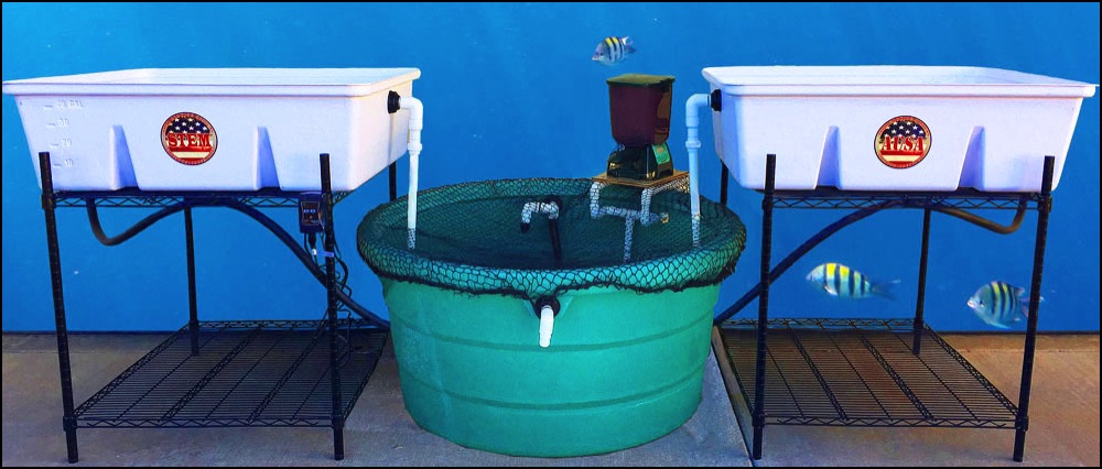 Aquaponics in the Classroom | Aquaponics USA