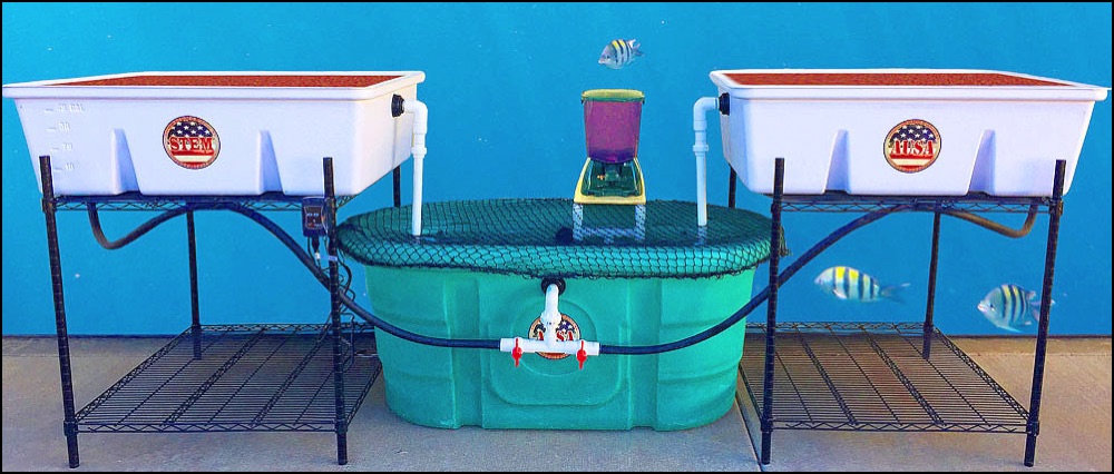 Aquaponics in the Classroom | Aquaponics USA