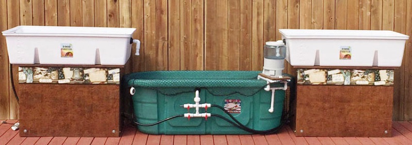 Aquaponics in the Classroom | Aquaponics USA