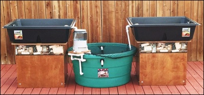 Aquaponics in the Classroom | Aquaponics USA