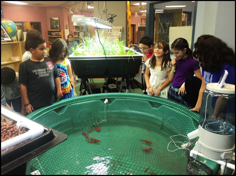 Aquaponics STEM Classrooms In Action Part 2 | Aquaponics USA