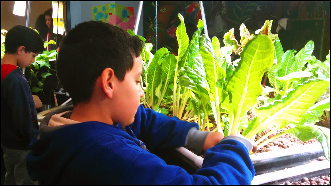 Aquaponics STEM Classrooms In Action Part 2 | Aquaponics USA