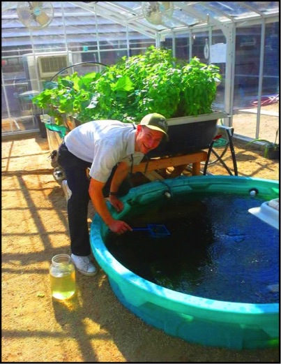 Aquaponics STEM Classrooms In Action Part 1 | Aquaponics USA