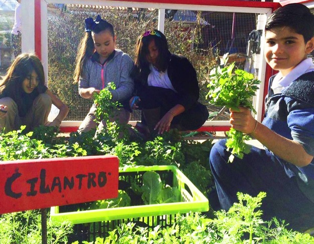 Aquaponics STEM Classrooms In Action Part 1 | Aquaponics USA