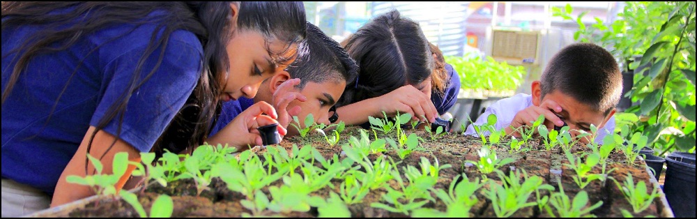 Aquaponics STEM Classrooms In Action Part 1 | Aquaponics USA