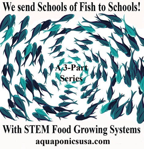 Aquaponics STEM Classrooms In Action Part 1 | Aquaponics USA