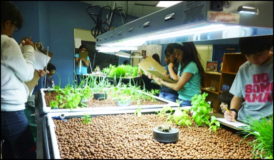 Aquaponics STEM Classrooms In Action Part 2 | Aquaponics USA
