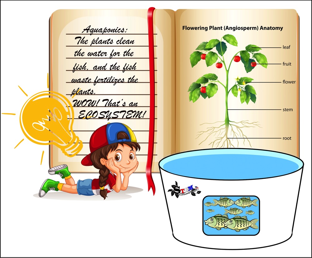 STEM Resources | Aquaponics USA